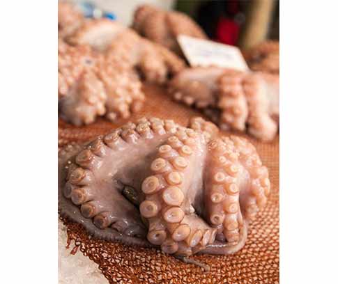 The Real Greek Student Discount Codes 2025 - Save the Student