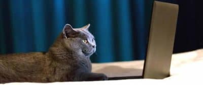 10 best job interview tips - Save the Student