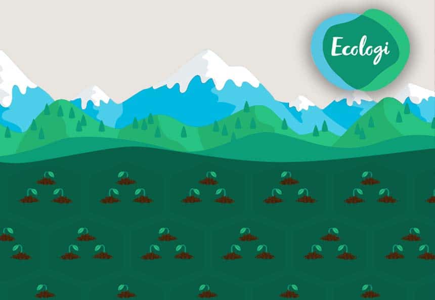 We’ll plant 2 trees for every tree you plant with Ecologi - Save the ...