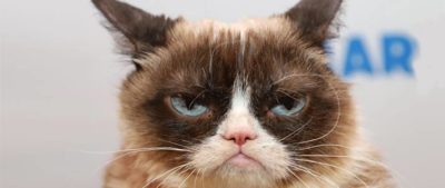 How to complain successfully - Save the Student