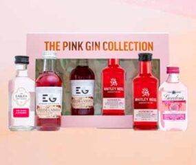 £8.82 pink gin gift set - Save the Student