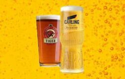 Save the Student - Student Money, Discounts and Jobs